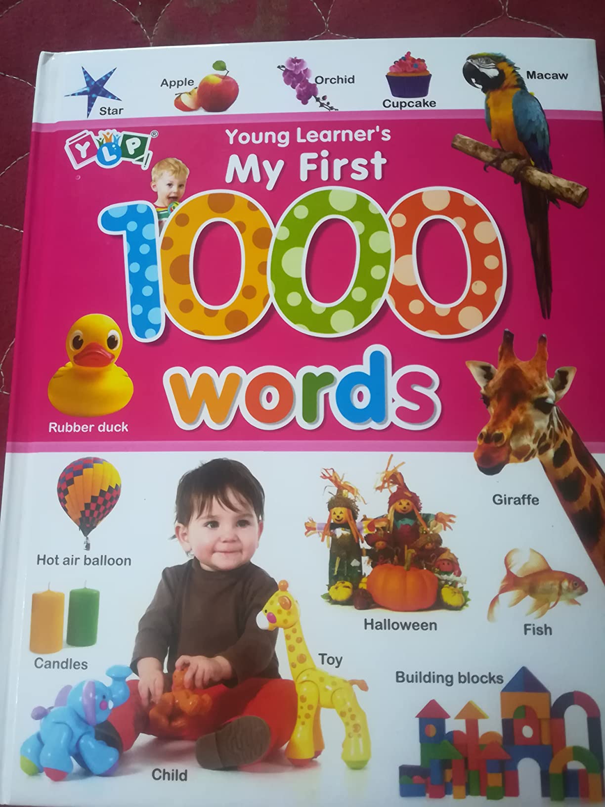 Buy My First 1000 Words for Early Learning Illustrated Book to Learn Alphabet, Numbers, Shapes ...
