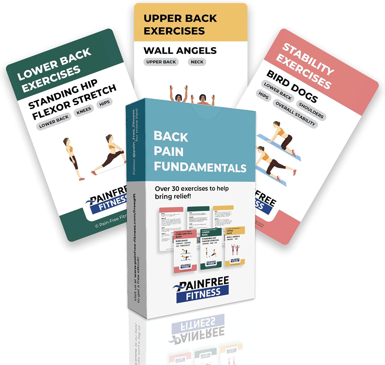 Amazon.com: (30+ Cards) Back Pain Fundamentals Flashcards by Pain-Free ...