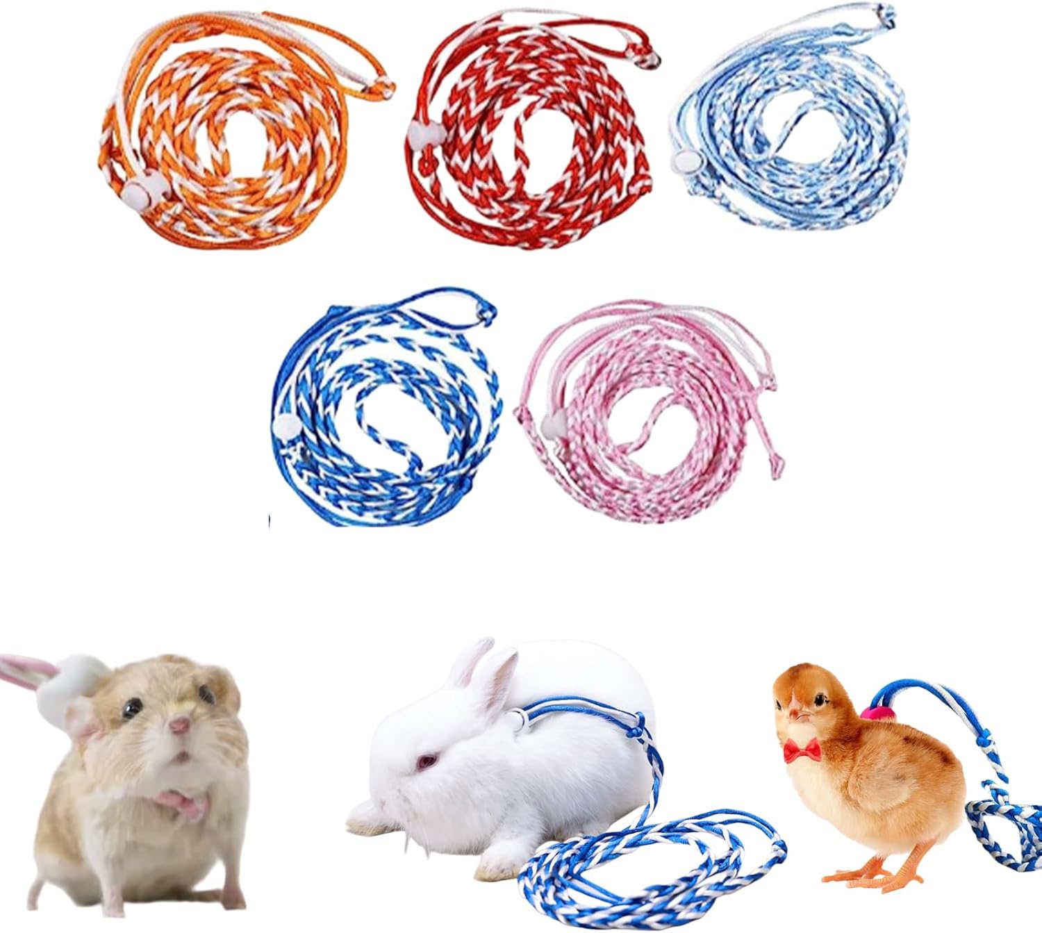 Amazon.com : Baby Duck Leash Set Adjustable 5-Pack Harness Rope for ...