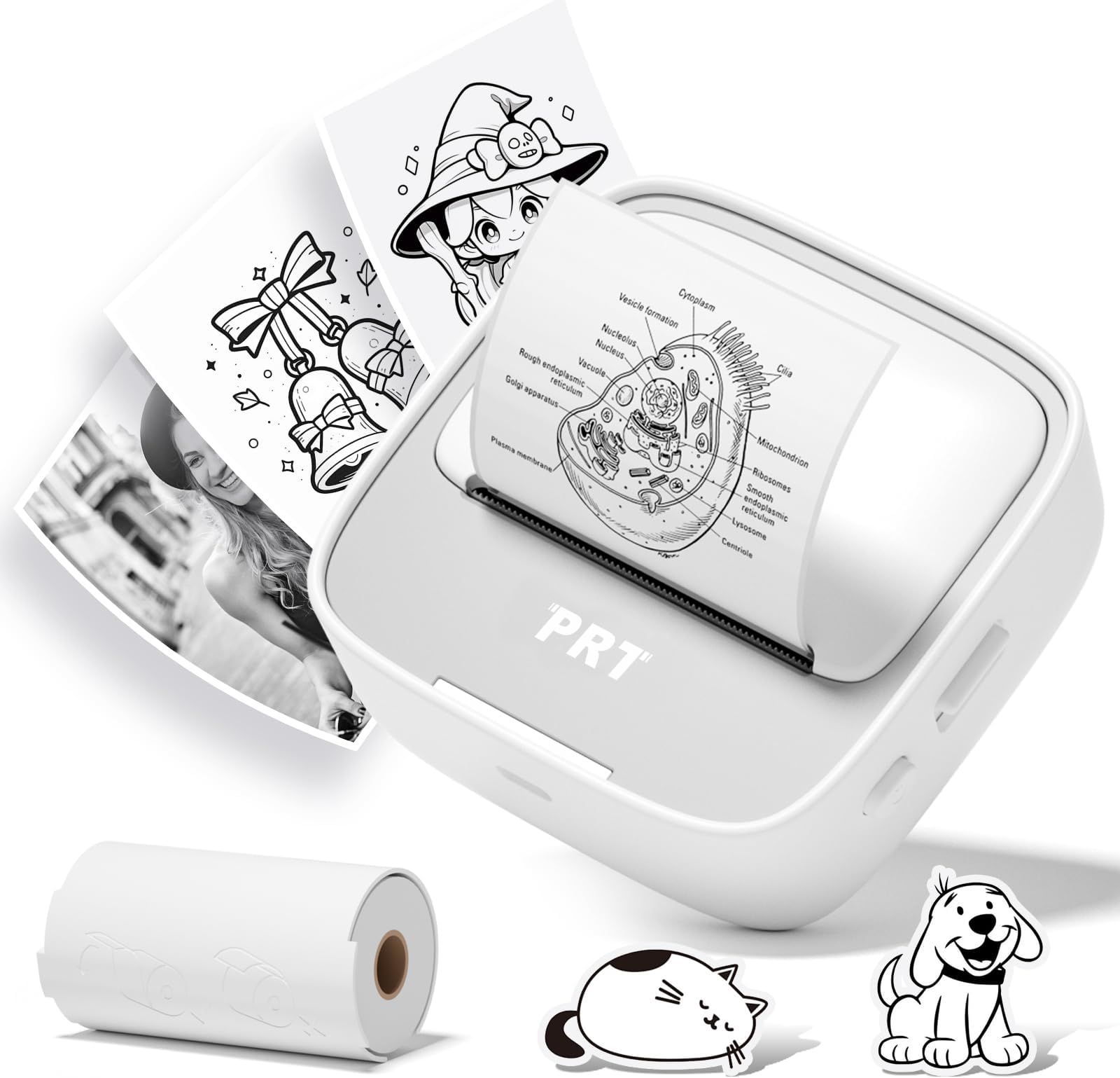 Amazon.com: Mini Printer Sticker Thermal Printer with 3 Rolls Paper ...