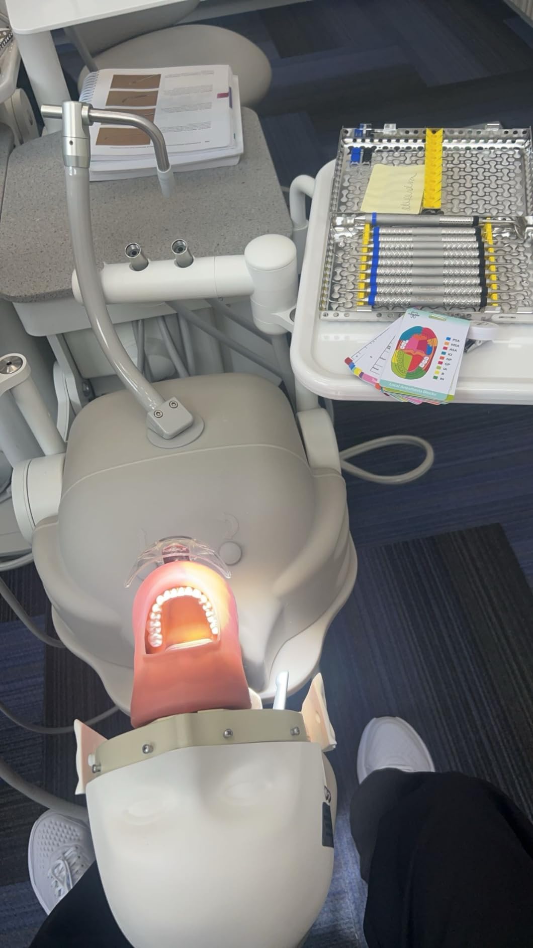 Amazon.com: Dental Hygiene Reference & Study Cards - FLOSS BOSS RDH ...