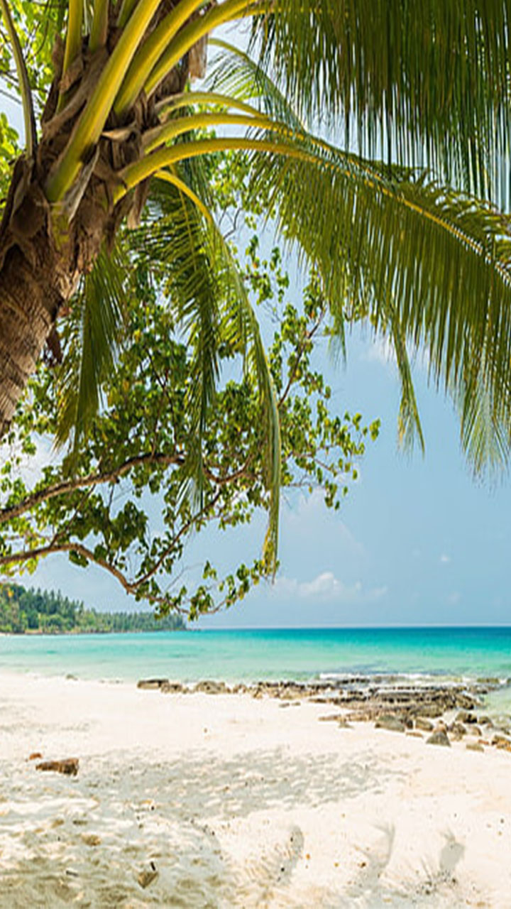 BEACH WALLPAPER - App on Amazon Appstore