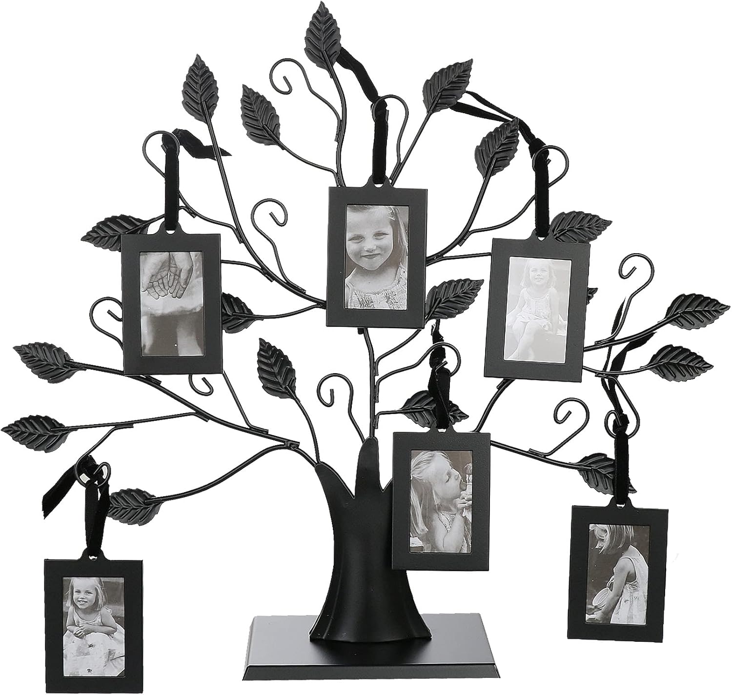 Photo Tree With Picture Frames - Sits Elegantly on a Tabletop (Medium ...