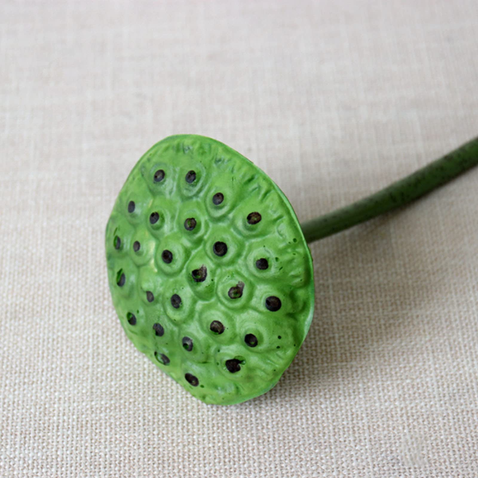 Lotus Flower Pod Lotus Pod Natural Bulk, Dried Pod