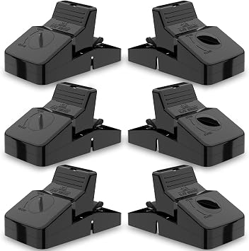 Amazon.com: Pest Control Rat Traps Set of 6 Large Snap Traps for Rats ...