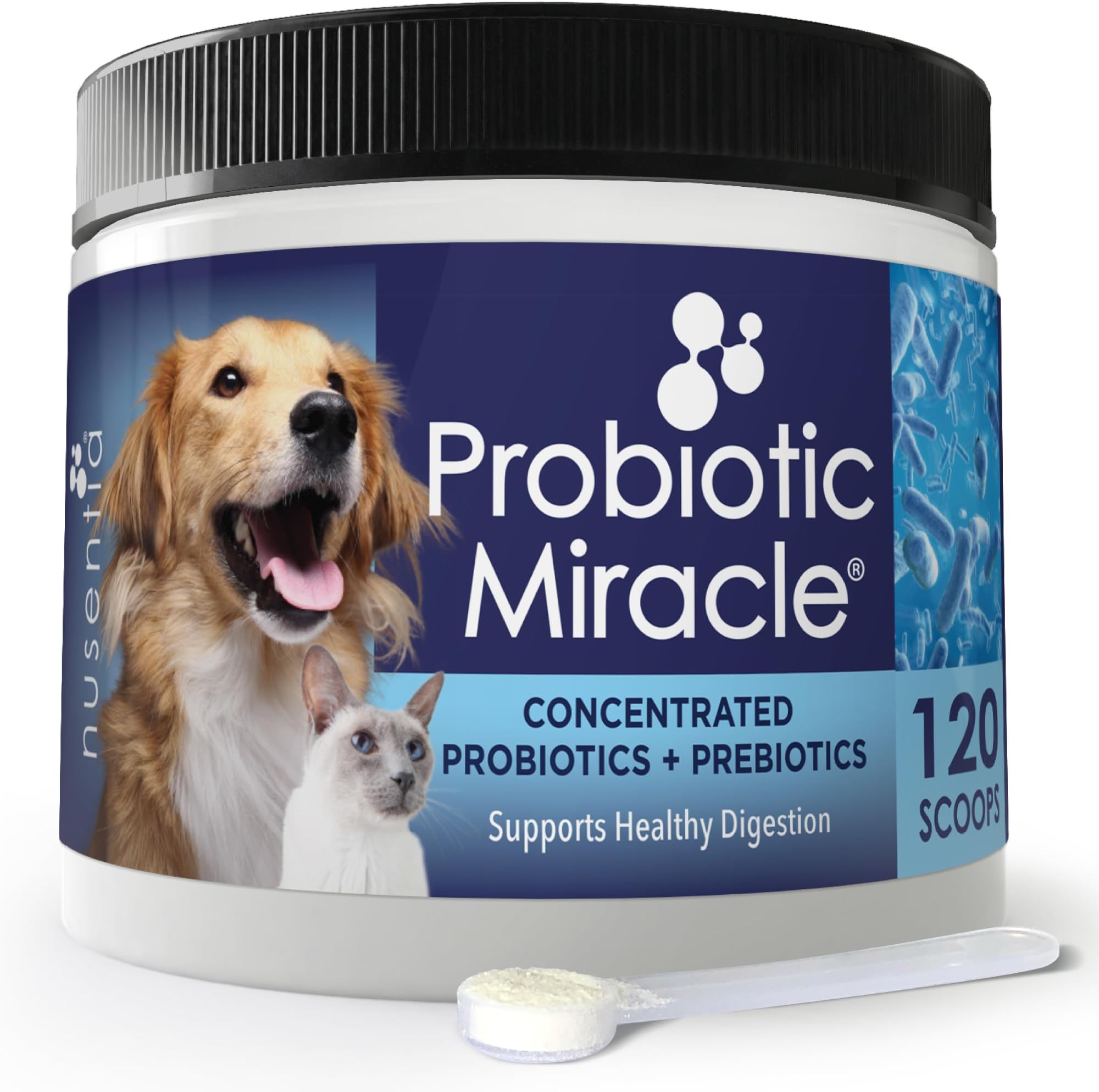 Amazon.com : Probiotics for Cats & Dogs : Probiotic Miracle : Bowel ...