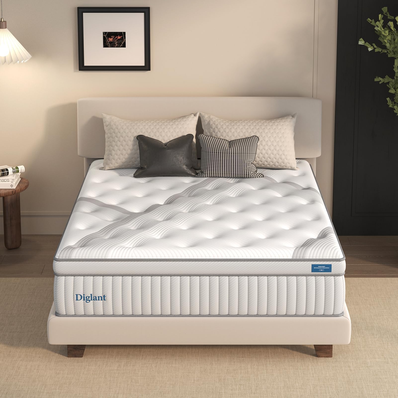 Amazon.com: Queen Mattress,Lechepus 14Inch Soft Memory Foam Hybrid ...