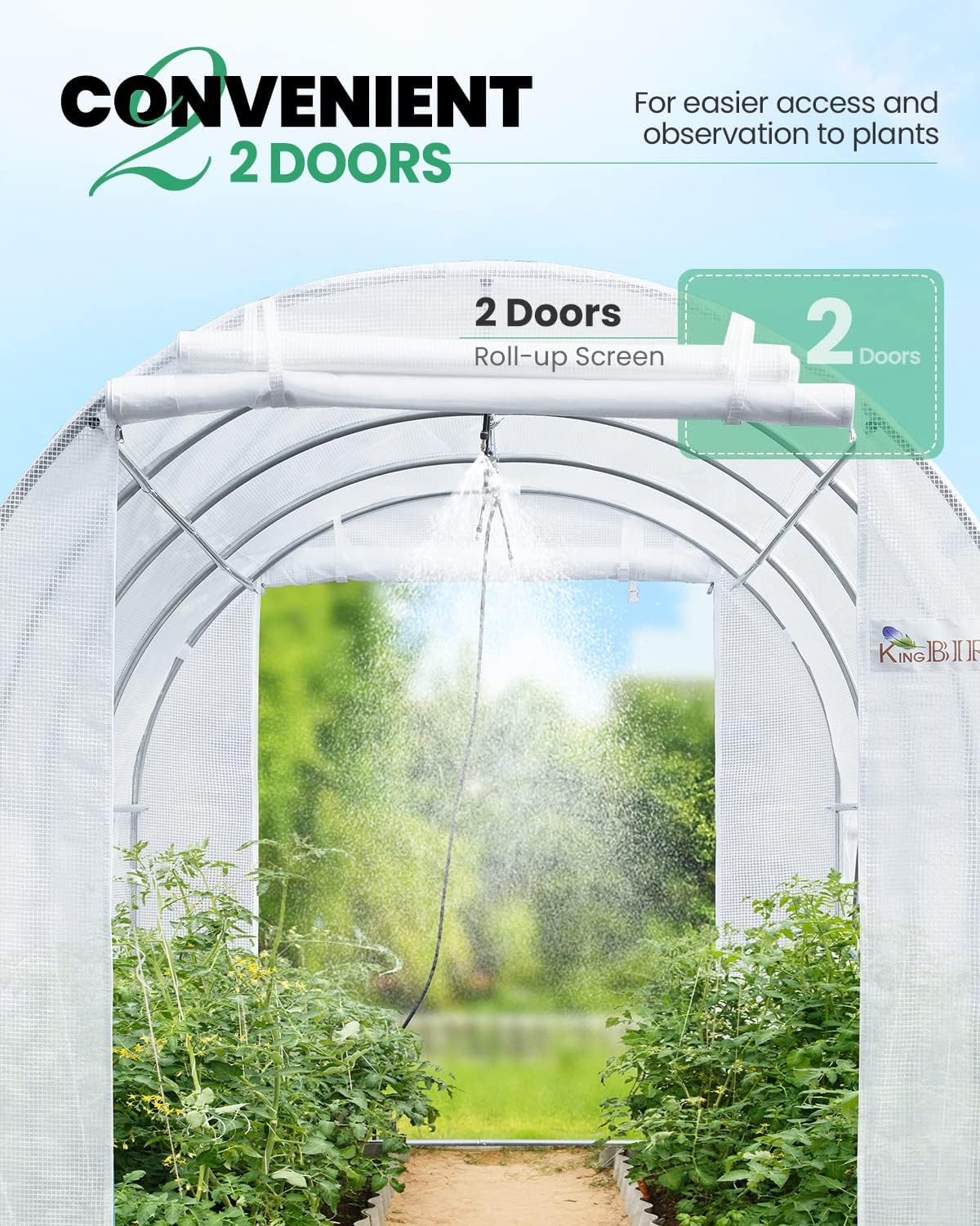 Snapklik.com : KING BIRD Premium 15x6.6x6.6FT Greenhouse For Outdoors ...