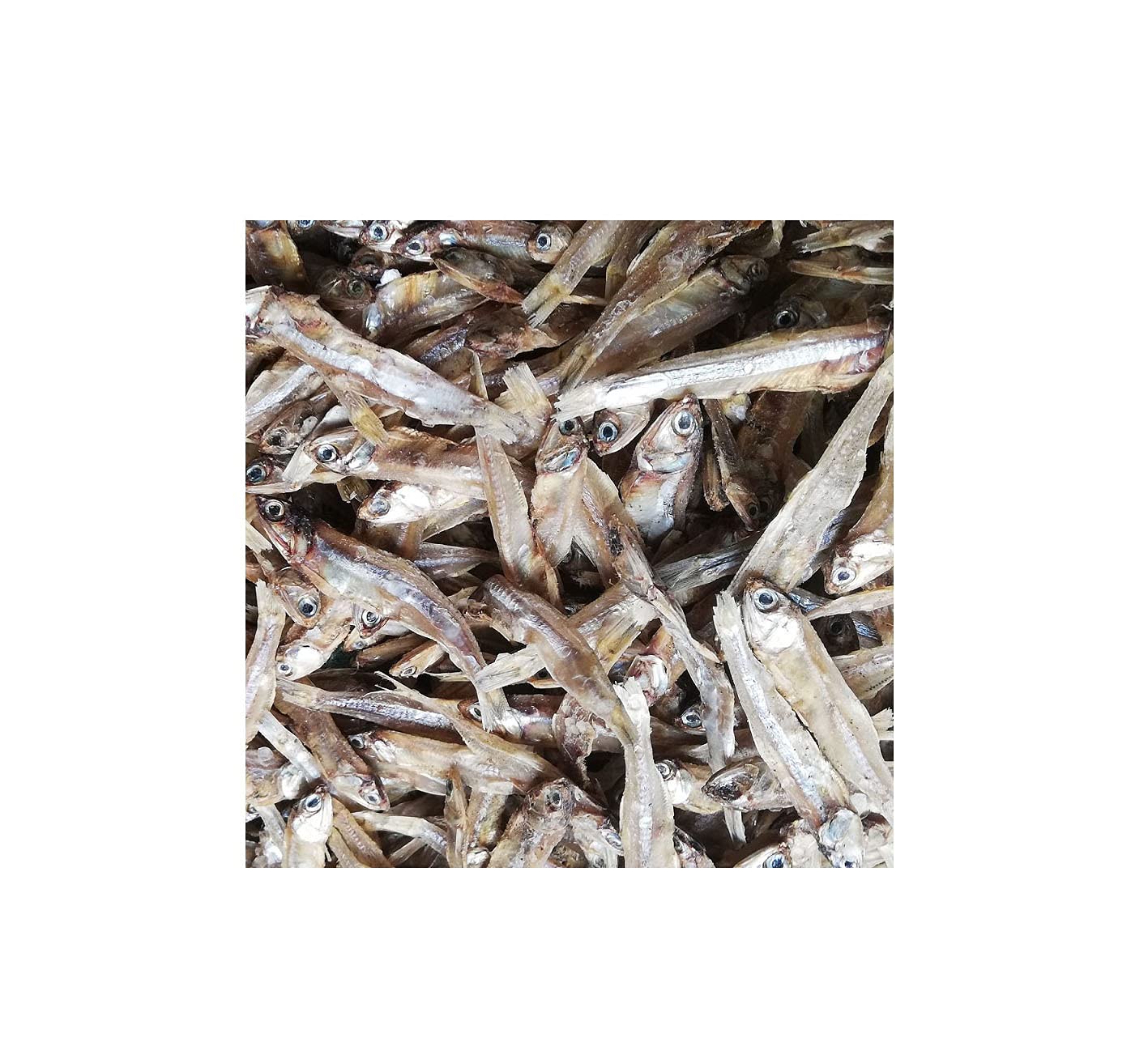 Buy Premium Quality Fresh Dry Fish Seafood Anchovy Anchovies Large Size ...
