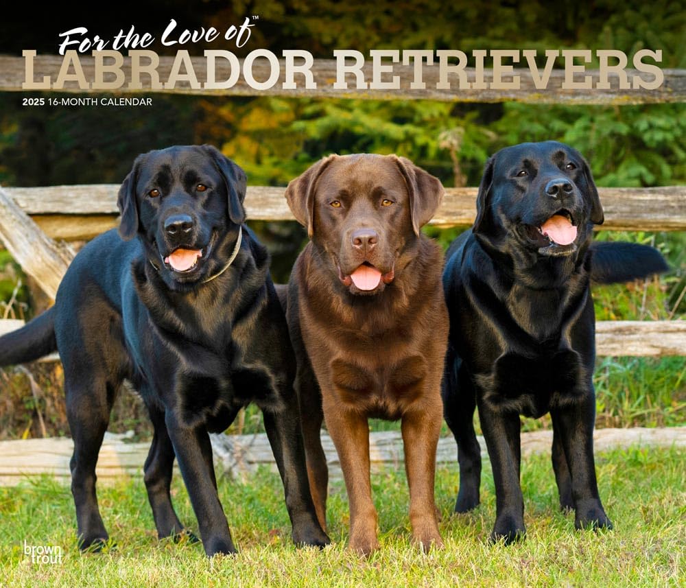 For the Love of Labrador Retrievers | 2025 14 x 24 Inch Monthly Deluxe ...