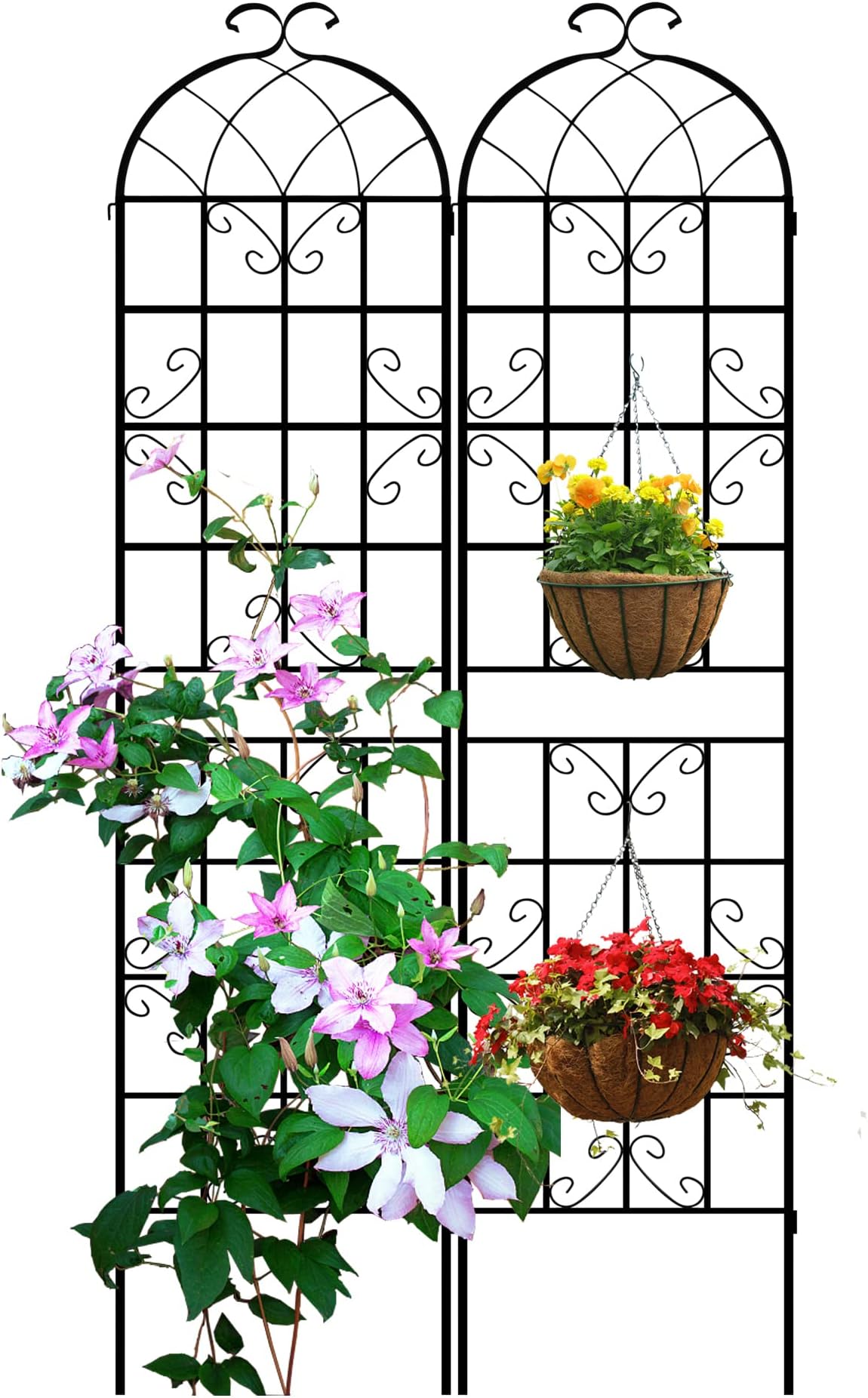 Amazon.com : Giant Trellis, 108” high (9’ Tall) by 28” Wide Trellis ...