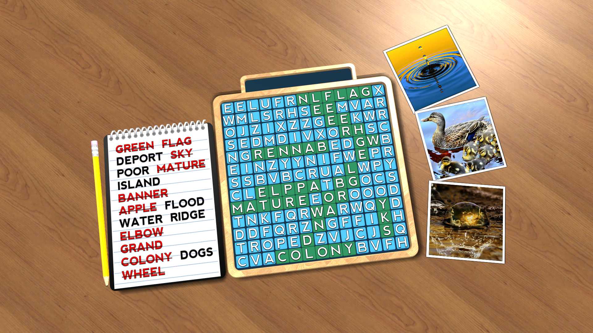 Wordsearch Revealer Splash TV - App on Amazon Appstore