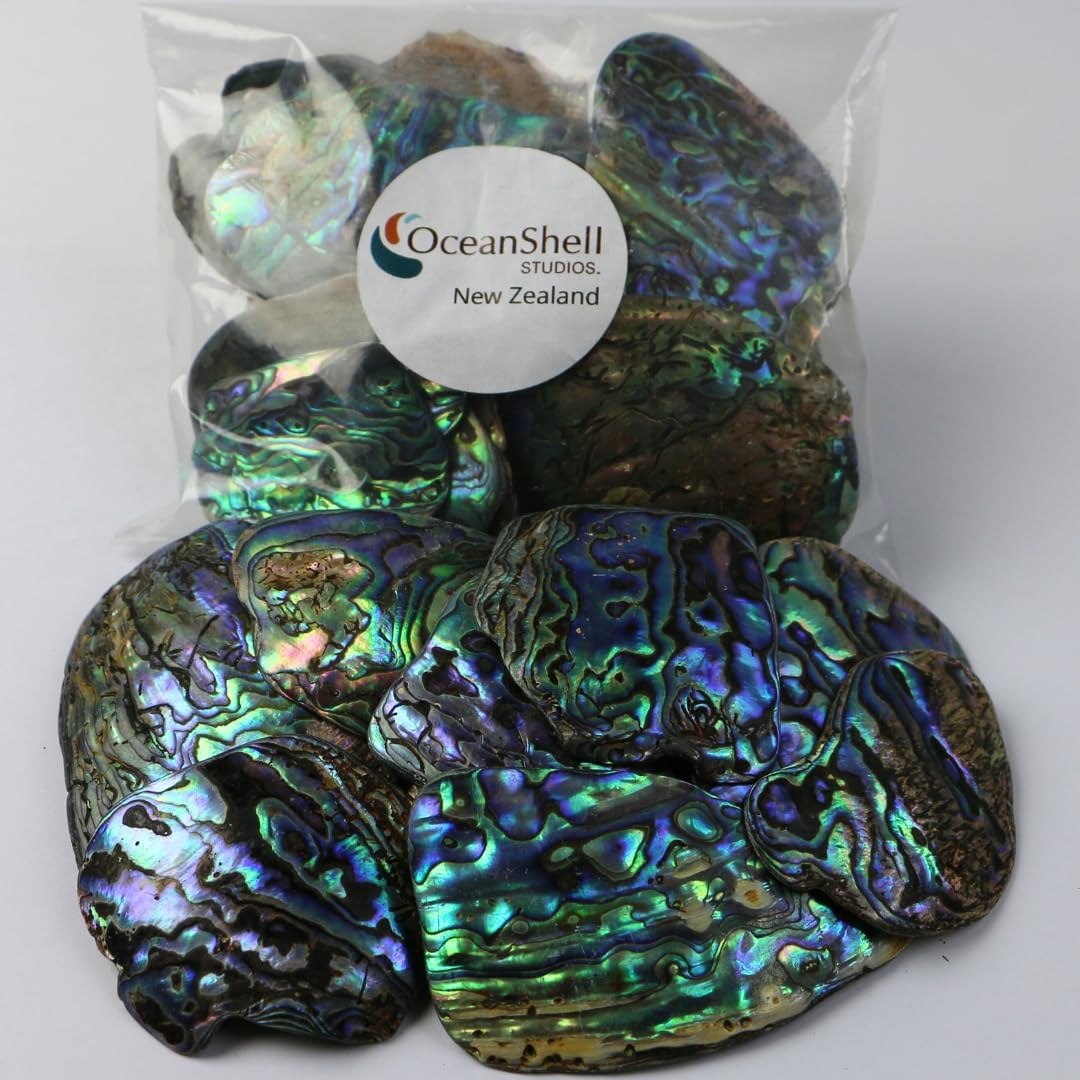 Amazon.com: Abalone (Pāua) Shell Pieces-2.65oz Pack-for Crafts, Jewelry ...