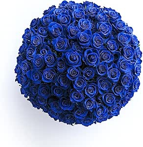 Amazon.com : GlobalRose 100 Blue Roses Bouquet - Responsibly Sourced ...