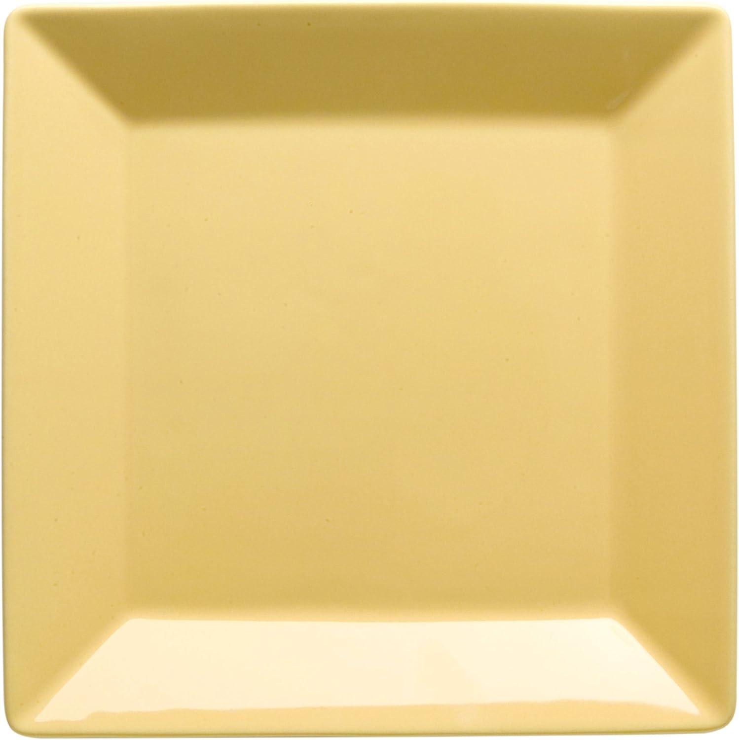 Amazon.com | Waechtersbach Large Rimmed Square Plate, Set of 2, Vanilla ...
