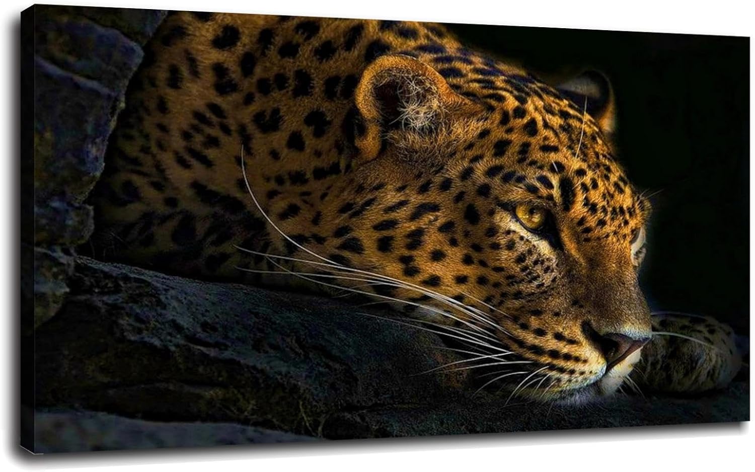 Amazon.com: Leopard Pictures Canvas Wall Art Animal Poster Prints Wall ...