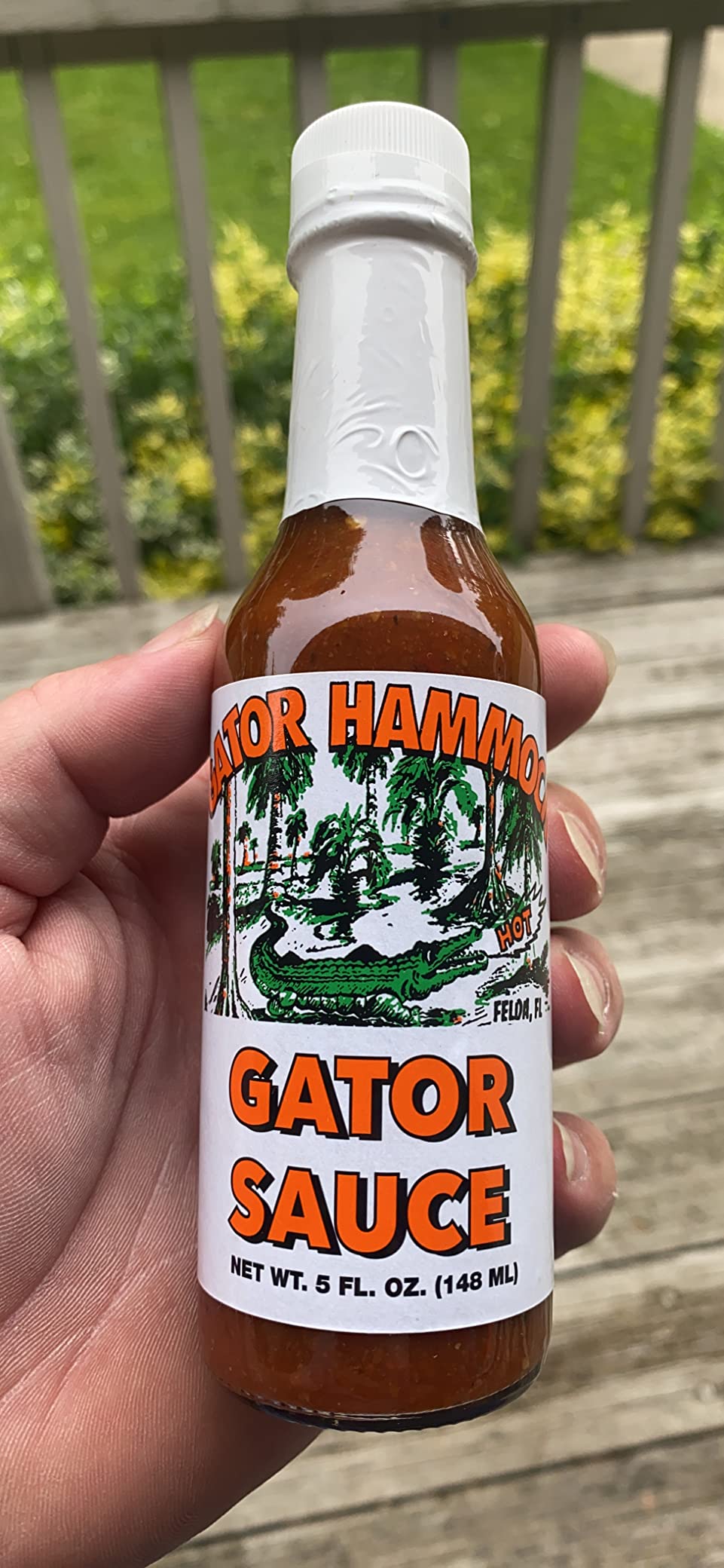 Amazon.com : Gator Hammock Swamp Gator Hot Sauce (3 Pack) : Grocery ...