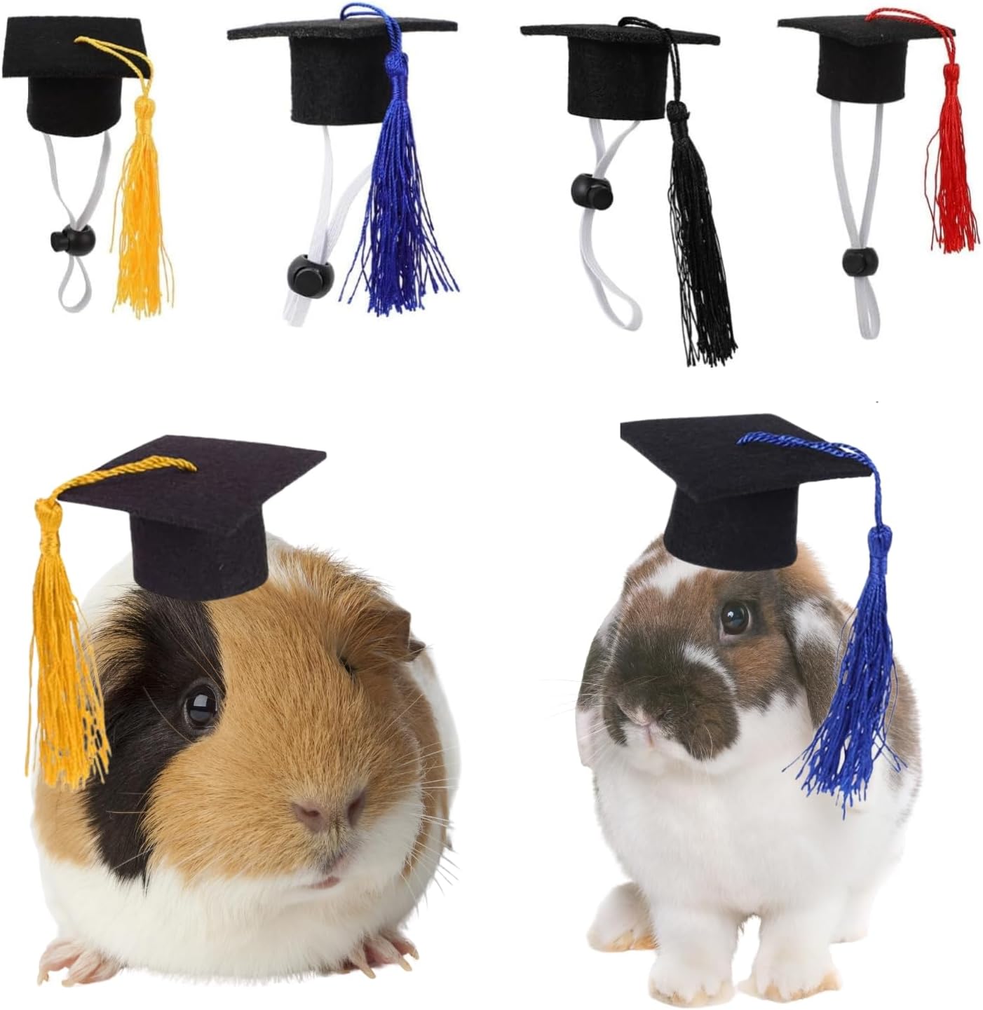 Amazon.com : 4 Pack Small Animal Graduation Caps - Mini Bachelor Hats ...