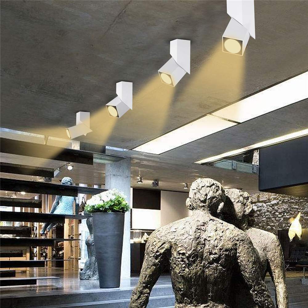 Indoor Wall Spot Lights