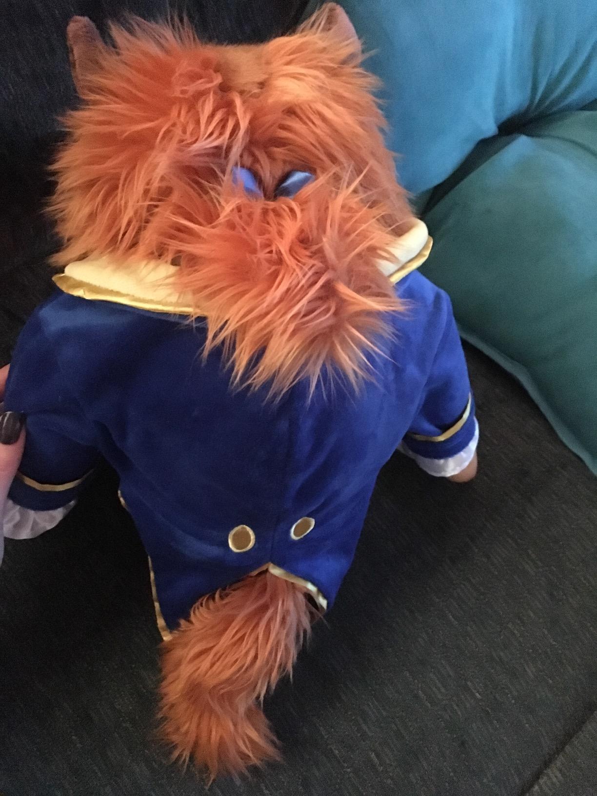 Amazon.com: Disney Authentic Princess Beauty and the Beast Beast ...