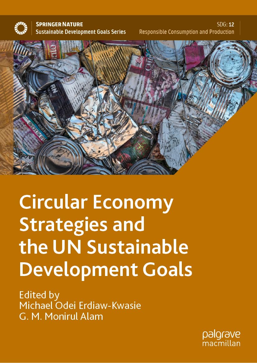 Circular Economy Strategies and the UN Sustainable Development Goals ...