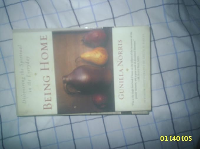 Being Home: Discovering the Spiritual in the Everyday: Norris, Gunilla ...