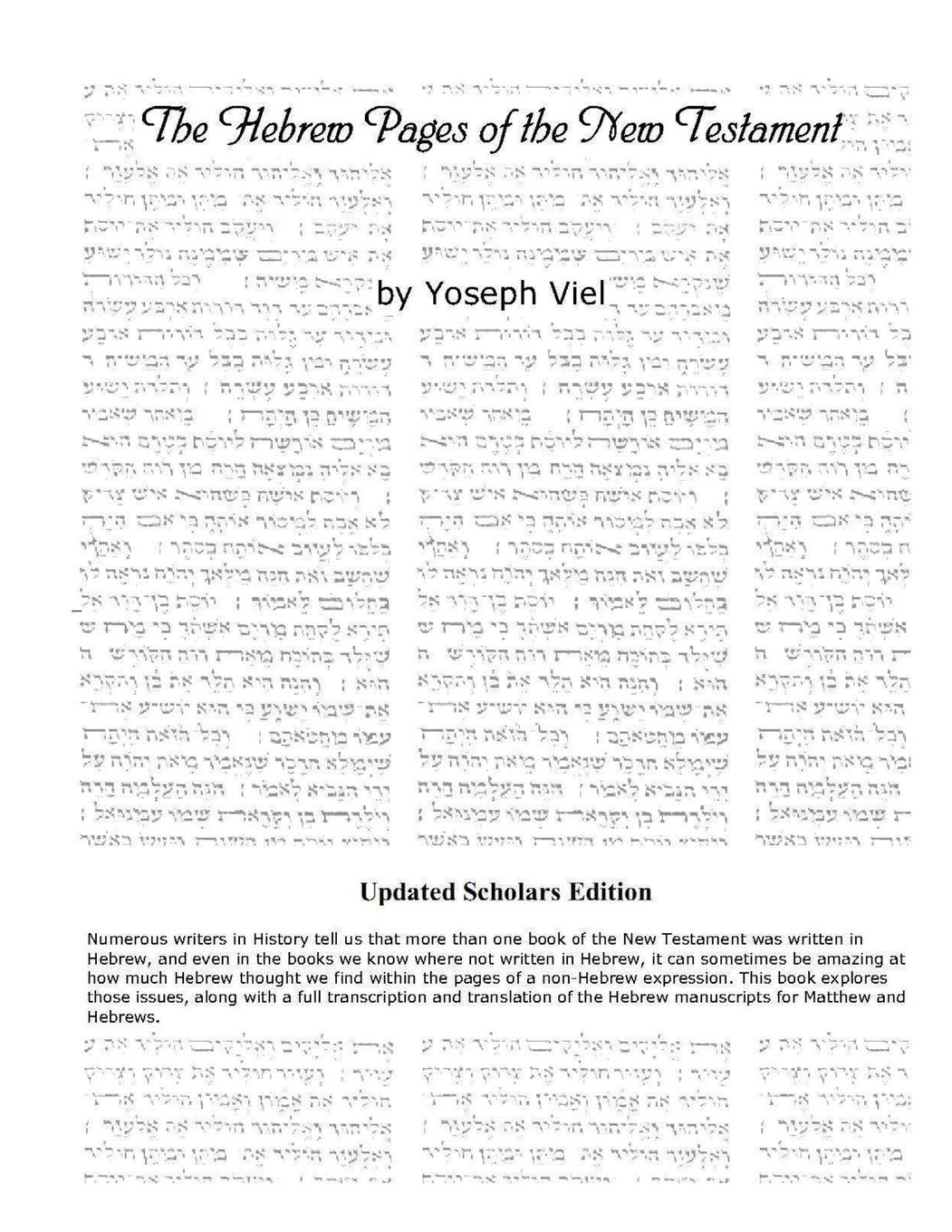 The Hebrew Pages of the New Testament: Viel, Yoseph: 9781312943445 ...