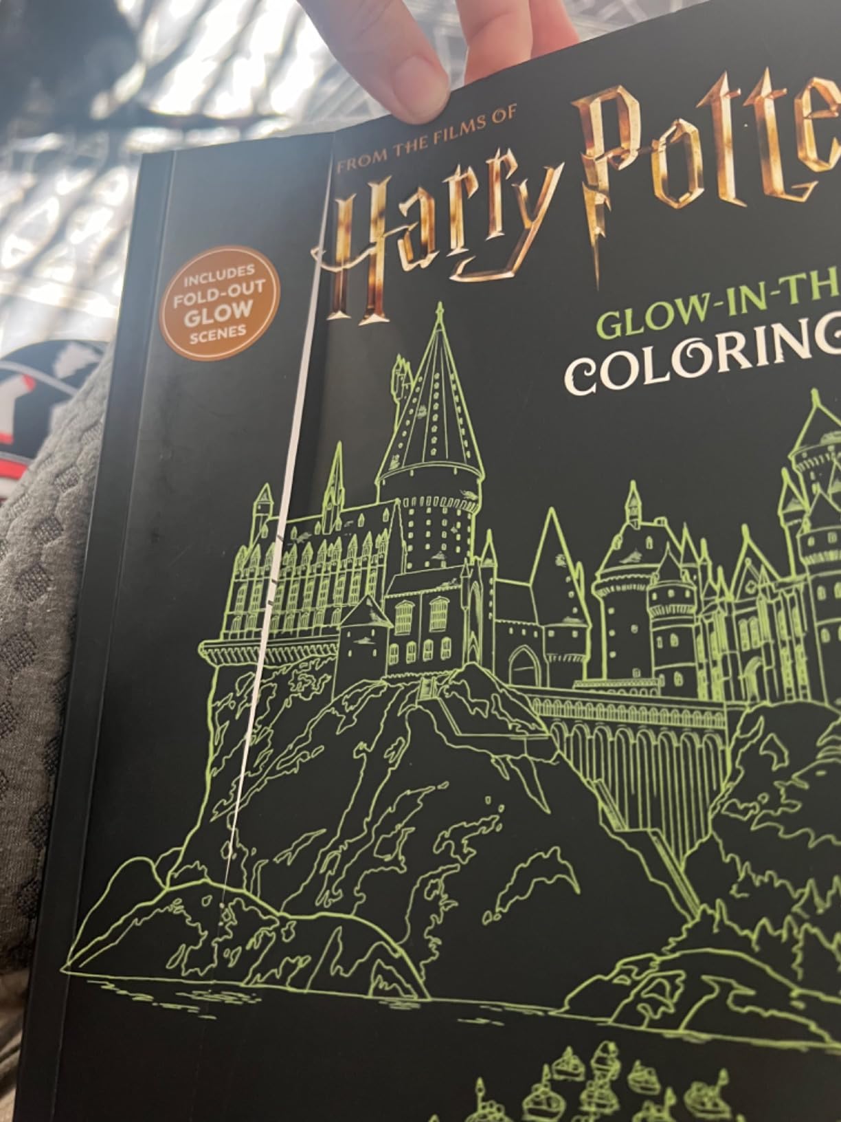 Amazon.com: Harry Potter Glow in the Dark Coloring Book: 9781645179009 ...