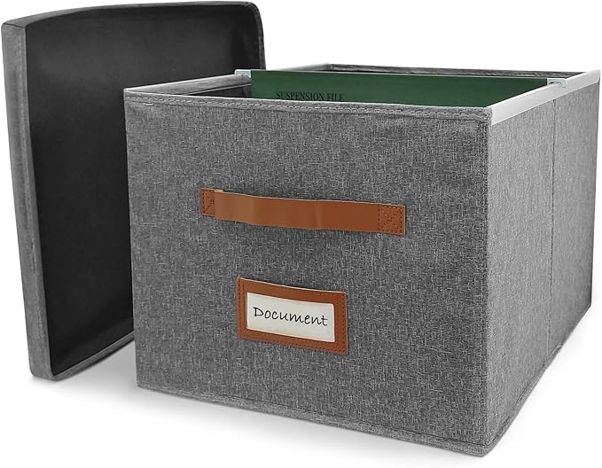 Amazing Tour File Organiser Box with Lid, Suspension Files Boxs, PVC ...