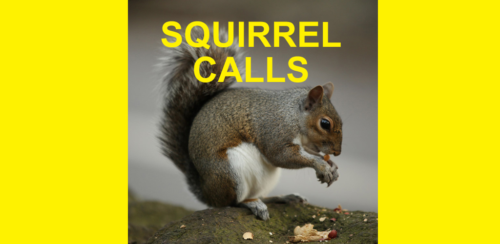 Squirrel Calls & Squirrel Sounds for Squirrel Hunting - App on Amazon ...