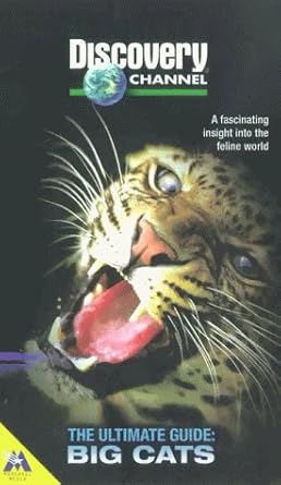 Discovery Channel: The Ultimate Guide - Big Cats [VHS] : Brian Leith ...