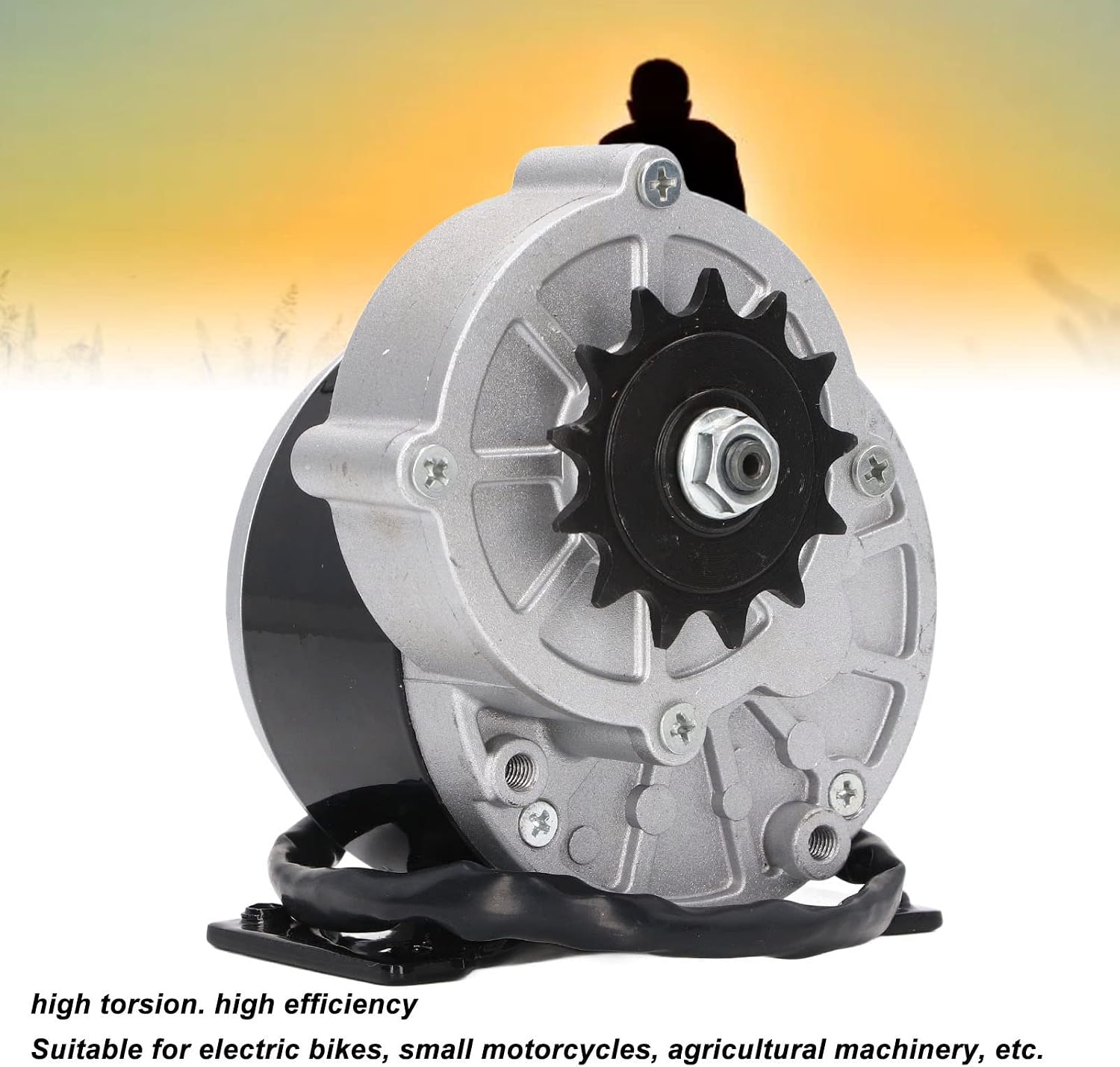Alomejor DC Brushed Motor, 12V 250W Gear Reduction Philippines | Ubuy