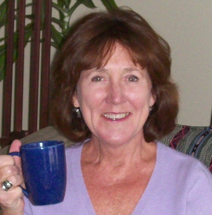 Amazon.com: Susan Thomas: books, biography, latest update