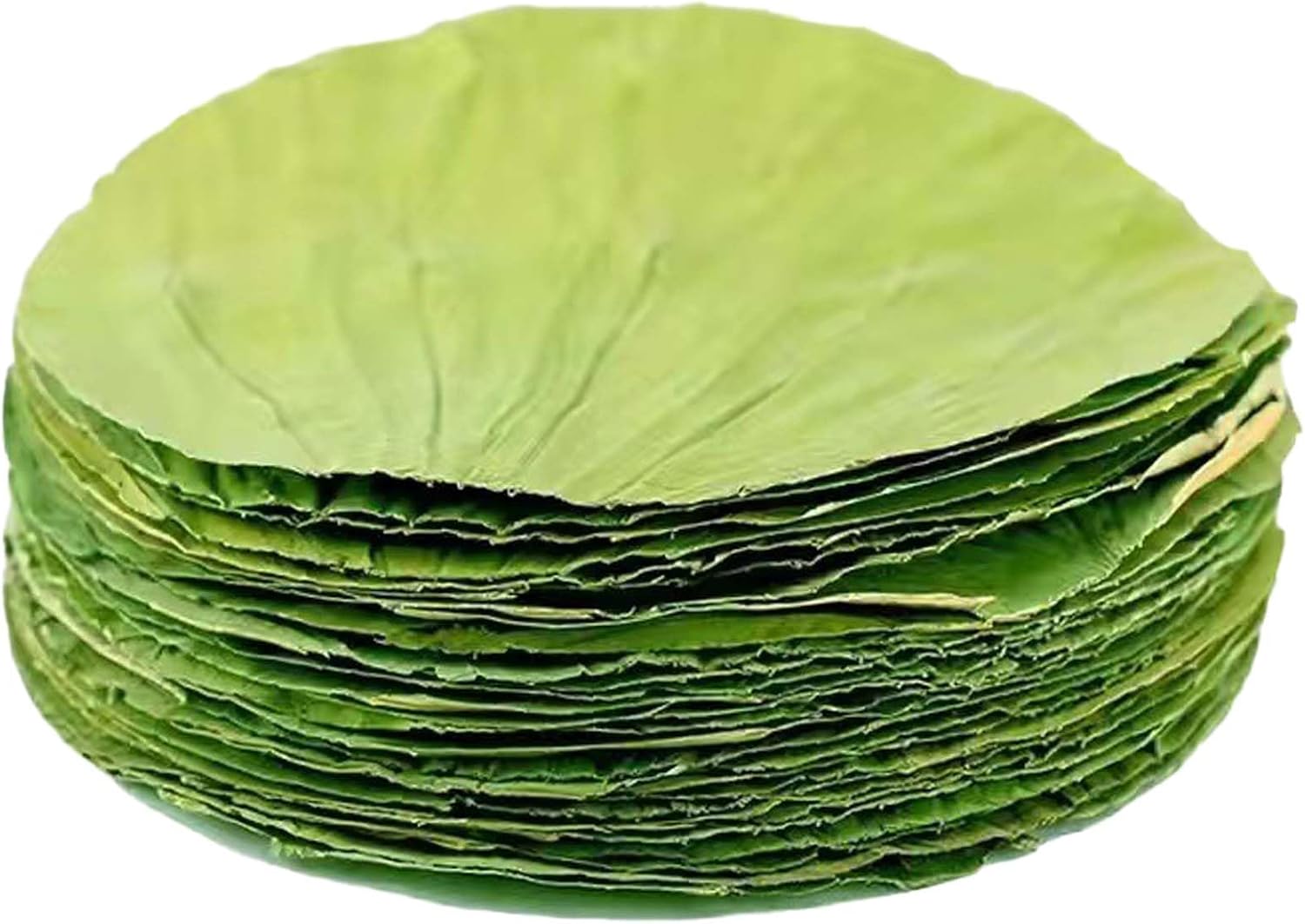 Amazon.com | 100PCS Dried Round Lotus Leaves with a Bamboo Tray Sushi ...