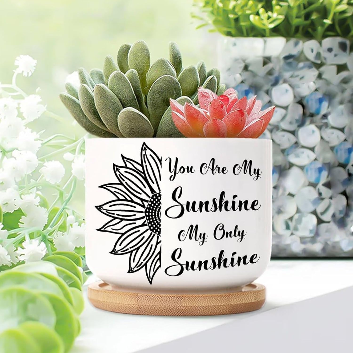 Amazon.com: DecStic You are My Sunshine My Only Sunshine Planter ...