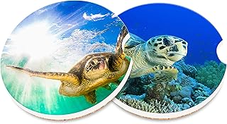 Hawksbill Sea Turtles: Unique Eating Habits Explained | PetShun
