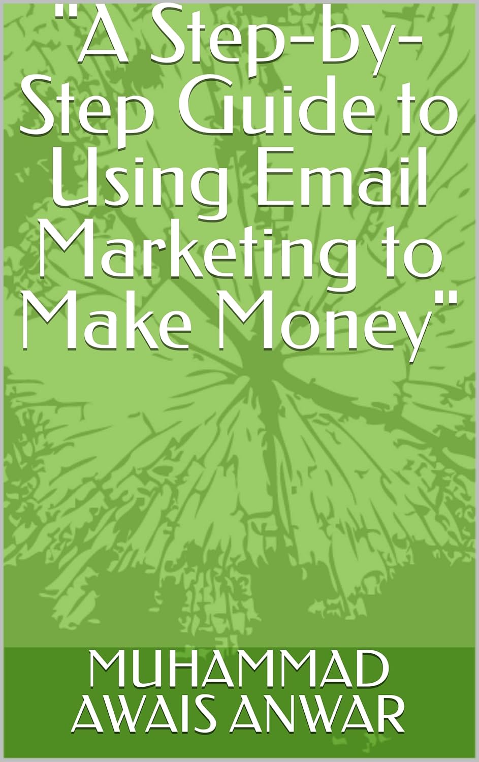 "A Step-by-Step Guide to Using Email Marketing to Make Money" eBook ...