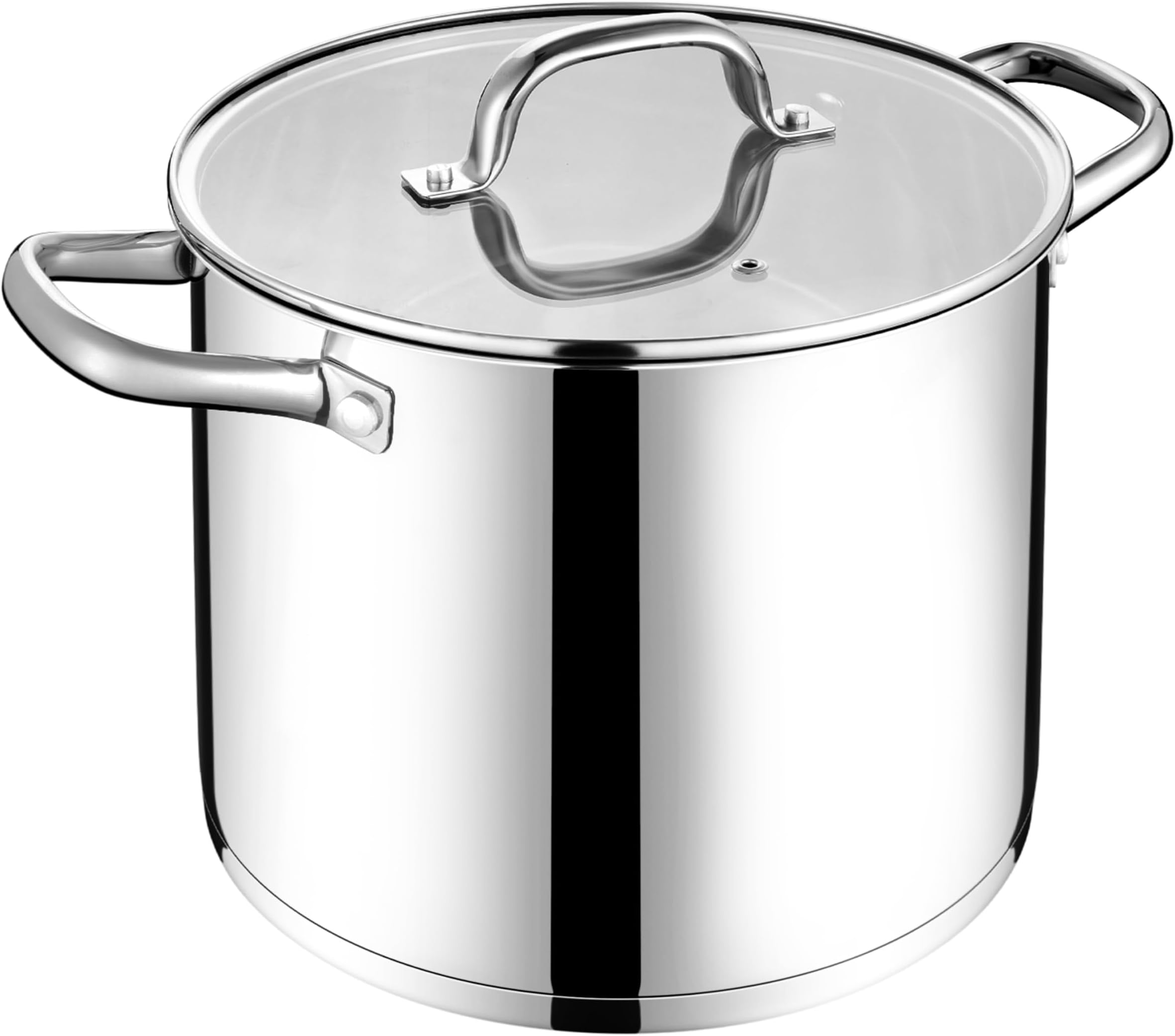 Amazon.com: Easyday Stockpot Stainless Steel Stock Pot with Lid (12 ...