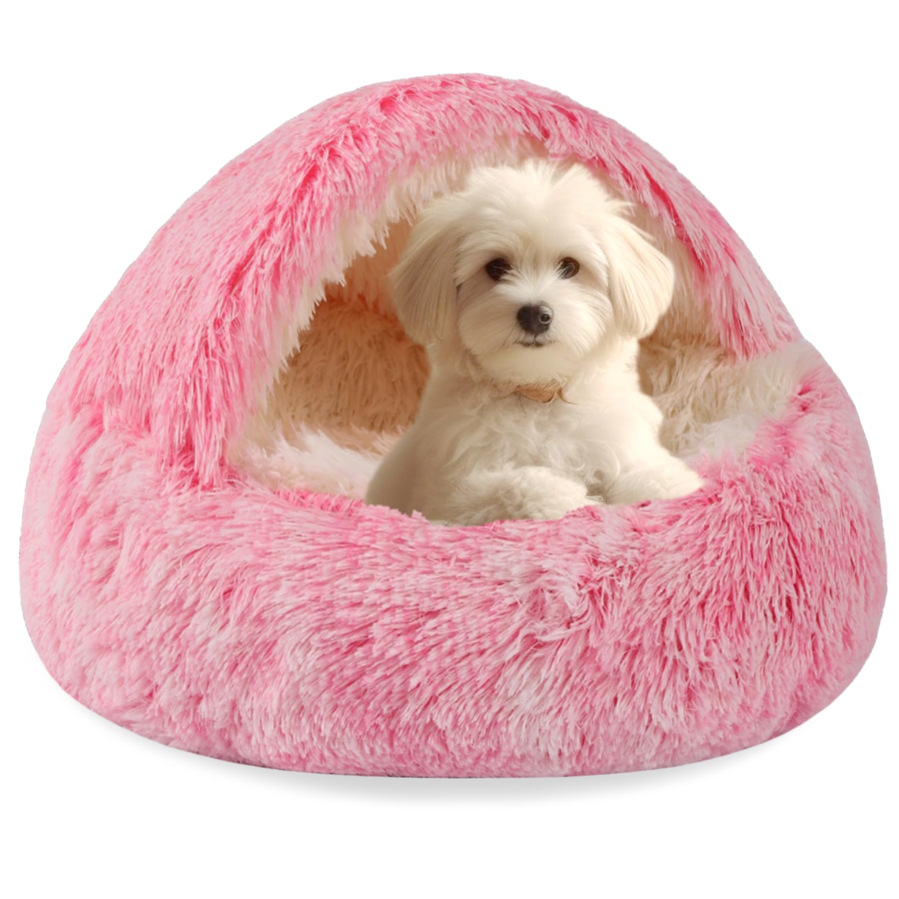 Amazon.com : HYQ Dog Bed for Small Dogs, Cozy Cat Cave Bed, Cat Beds for Indoor Cats Washable ...