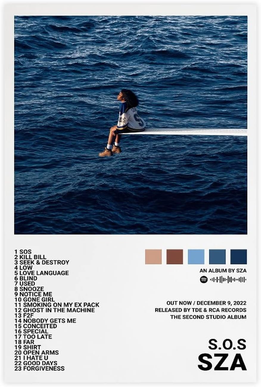 Amazon.com: SZA Poster: Album Cover Art Canvas - Bedroom Sports Decor ...