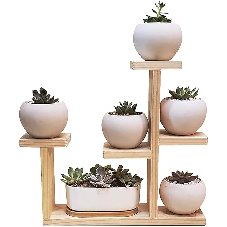Amazon.com : ZZ Lighting Wooden Tabletop Plant Stand Decorative Planter ...