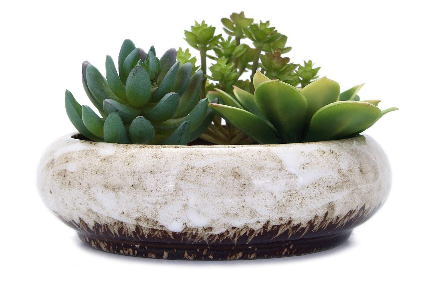 Large Planters Dish Shallow Containers Large Shallow Planter Etsy UK