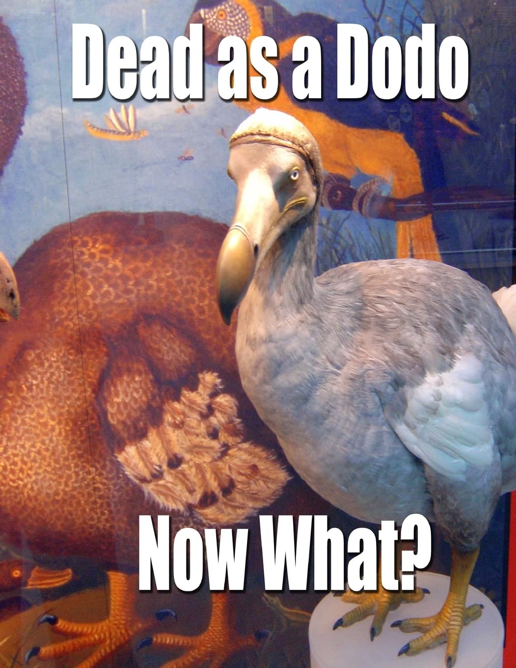 Dead as a Dodo - Now What?: Important Info You'll Need Once I'm Gone ...