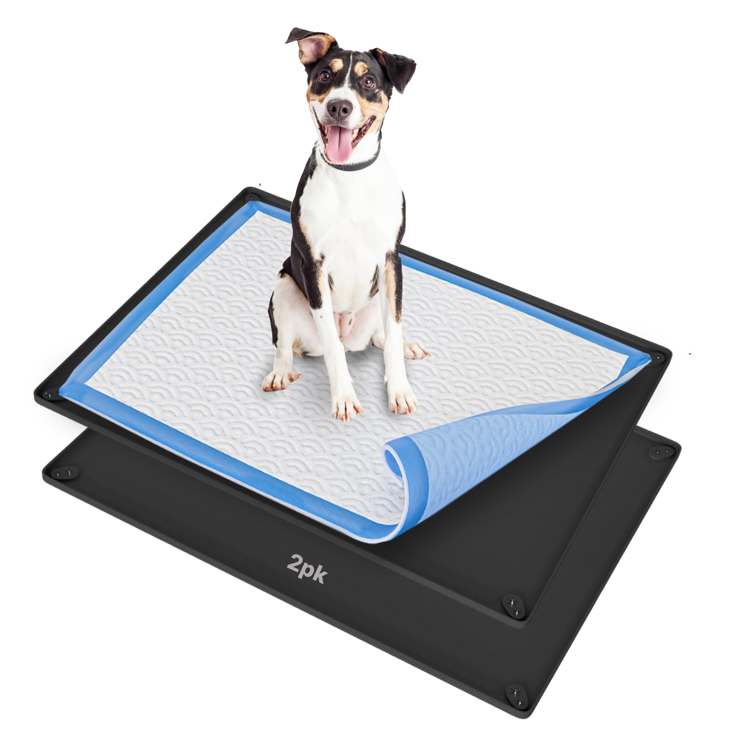 Amazon.com: Introducing XPACK Dog Pee Pad Holder Tray - A Reliable ...