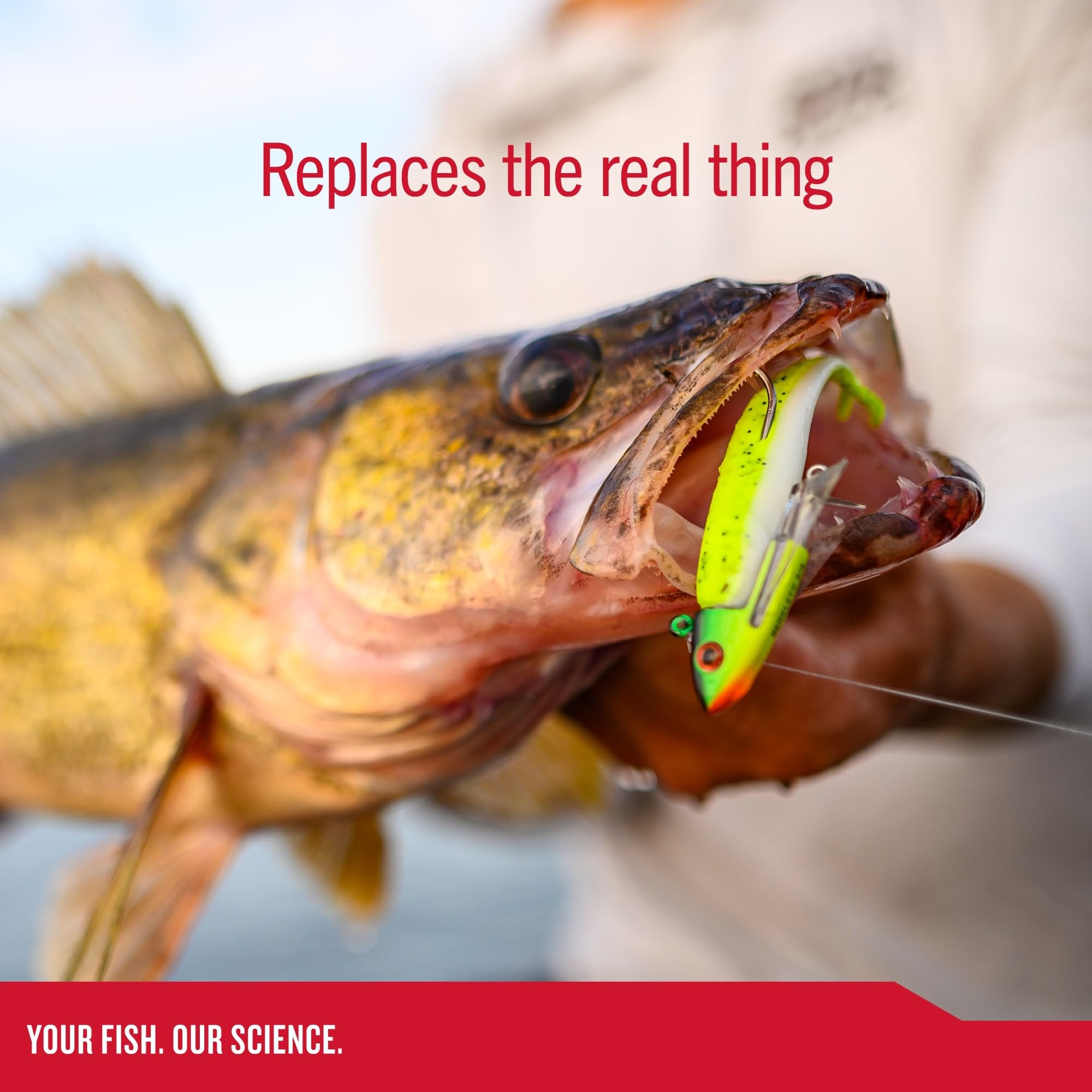 Snapklik.com : Gulp Minnow Fishing Bait, Rainbow Trout, 3in, Extreme ...