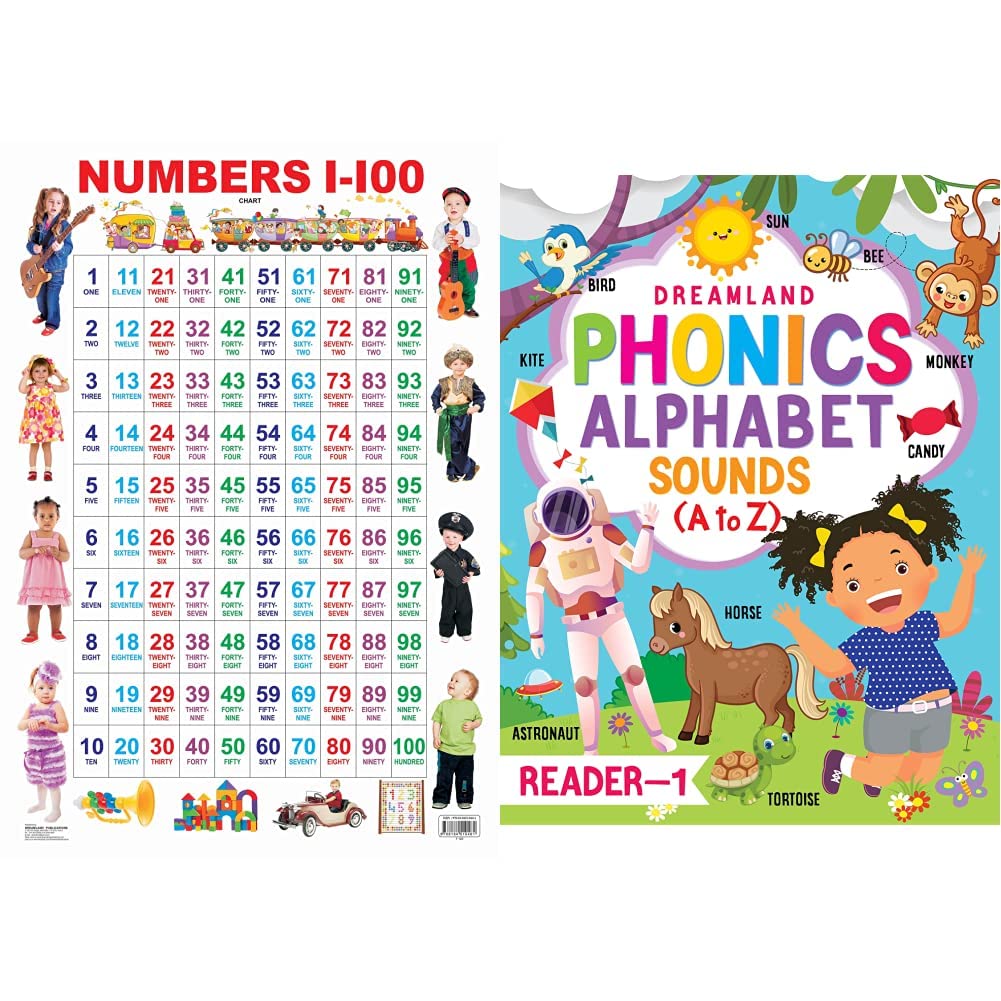 Numbers 1 100 Educational Wall Chart For Kids Both Side | Desertcart ...