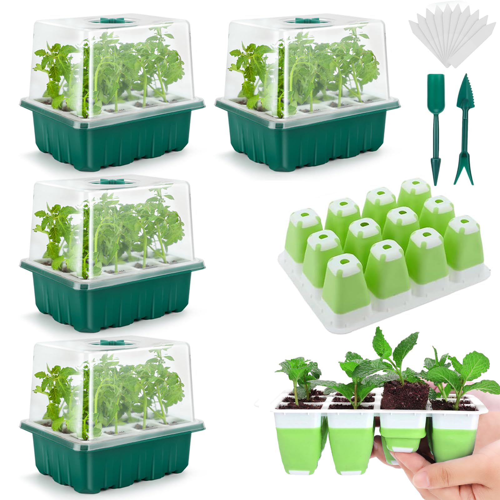 5 Best Seed Starting Trays | Stop Killing Seedlings