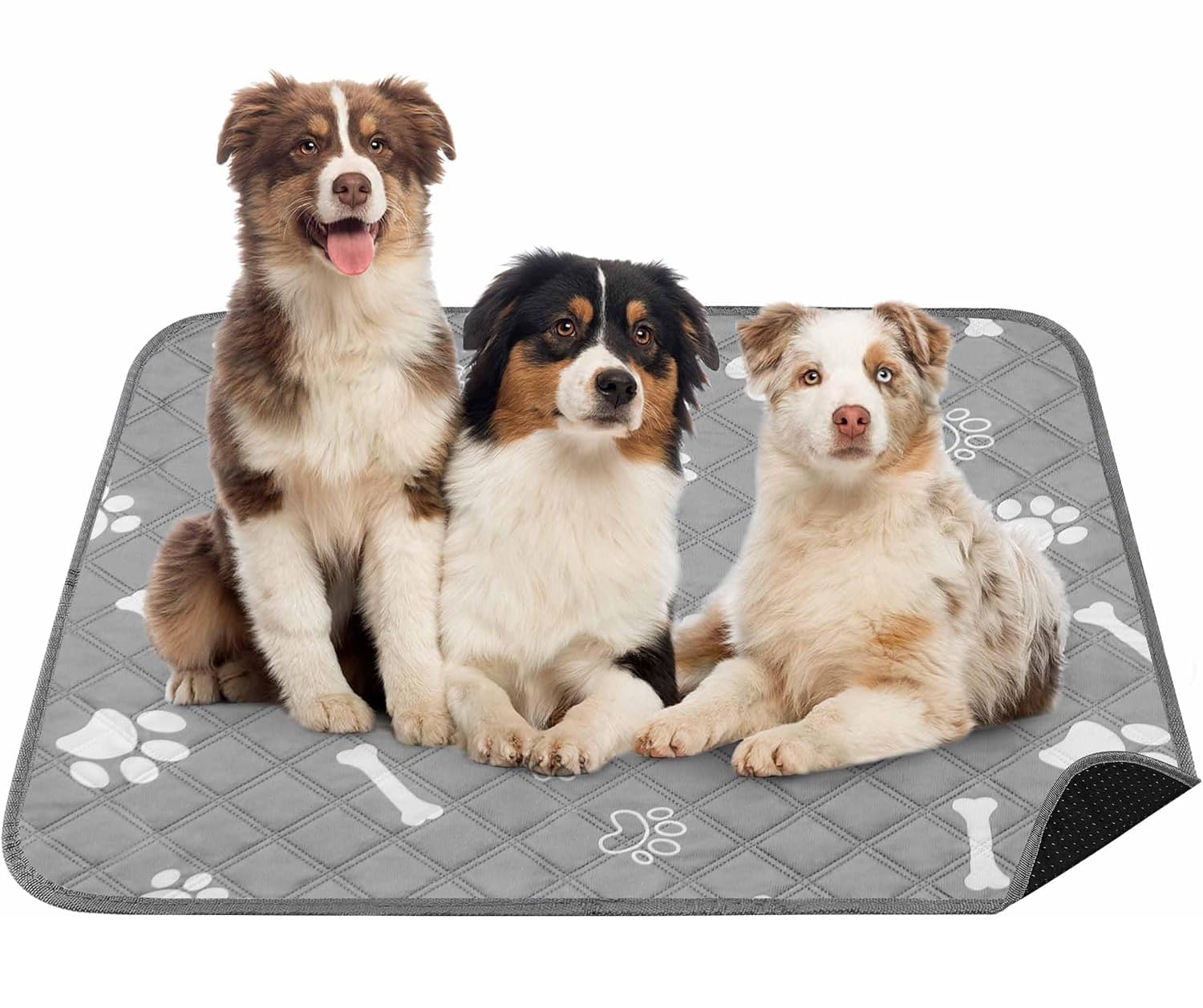 BLAZDEVE Washable Reusable Puppy Pads, Eco Puppy Training Pads, Super ...