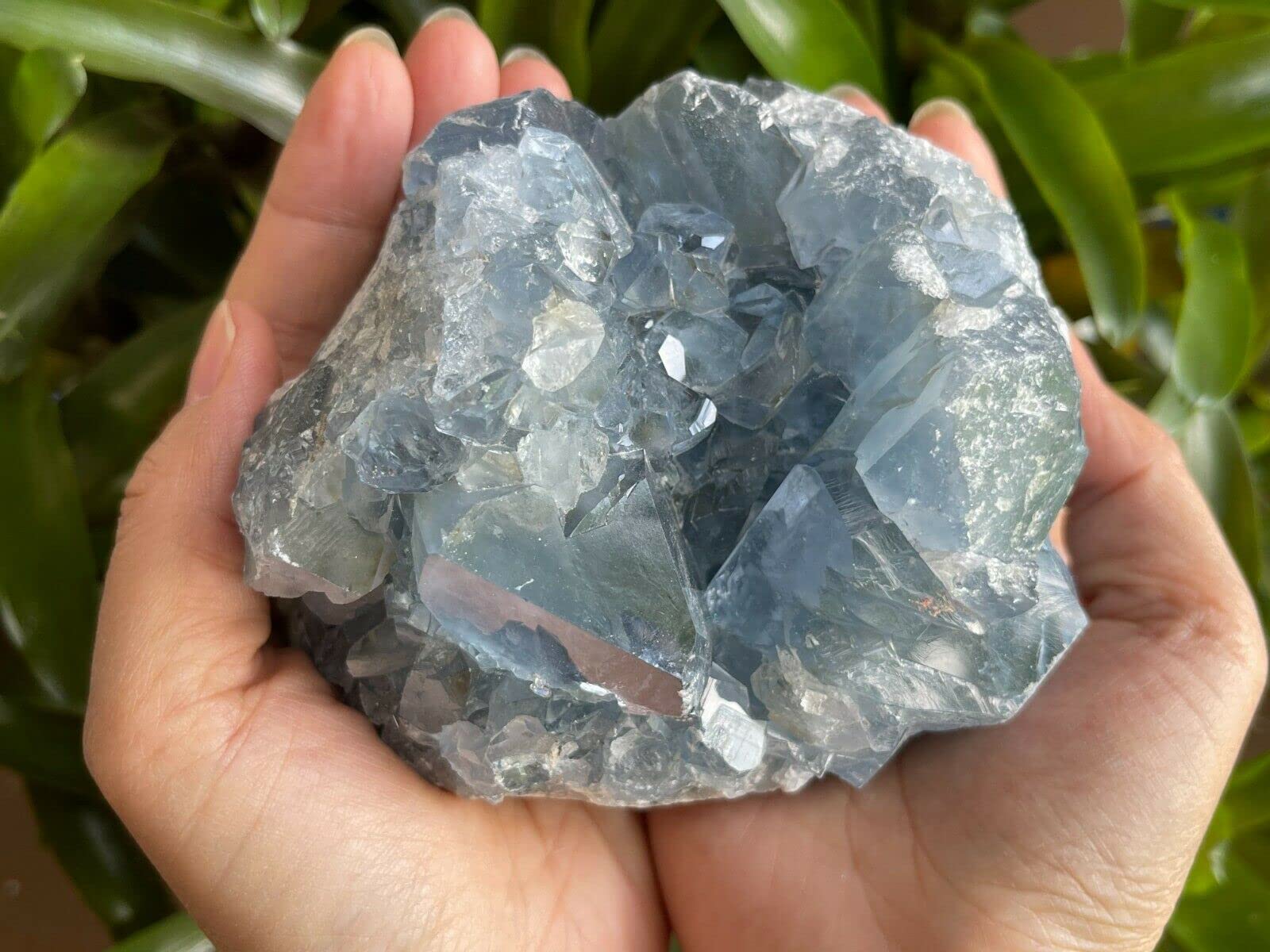 Celestite