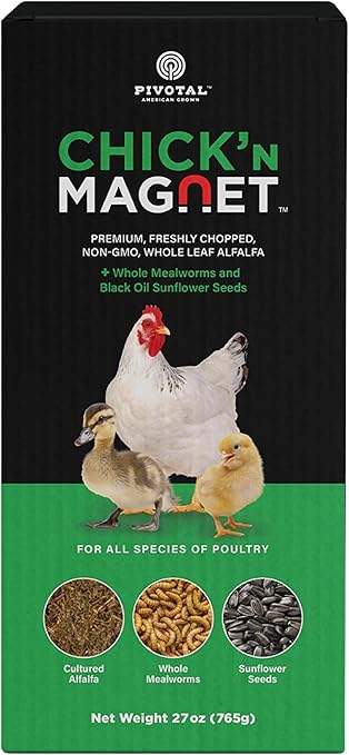 Amazon.com : Chick'n Magnet Poultry Supplement, Backyard Chicken Treats ...
